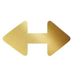 Pioneer Archives - Eva-Last New Zealand