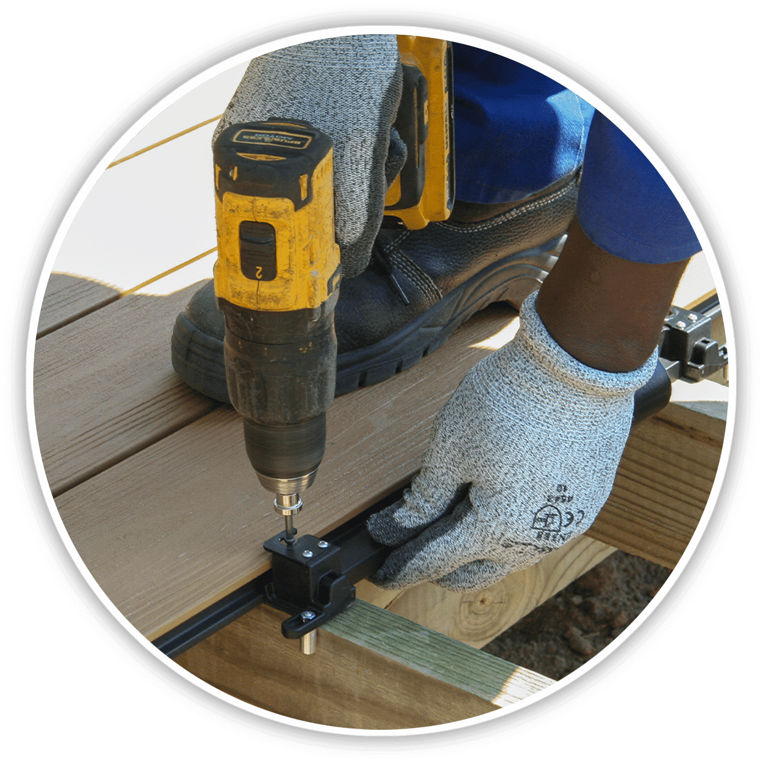 Chain - Eva-Last New Zealand